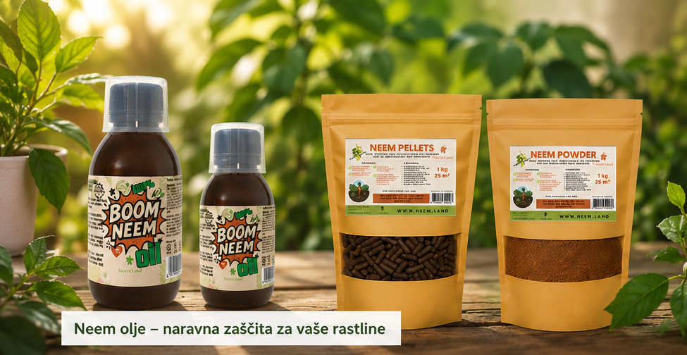 Neem olje za rastline – uporaba, mešanje in zaščita pred škodljivci ...