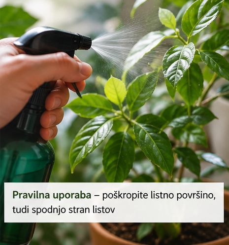 Neem olje za rastline – uporaba, mešanje in zaščita pred škodljivci ...